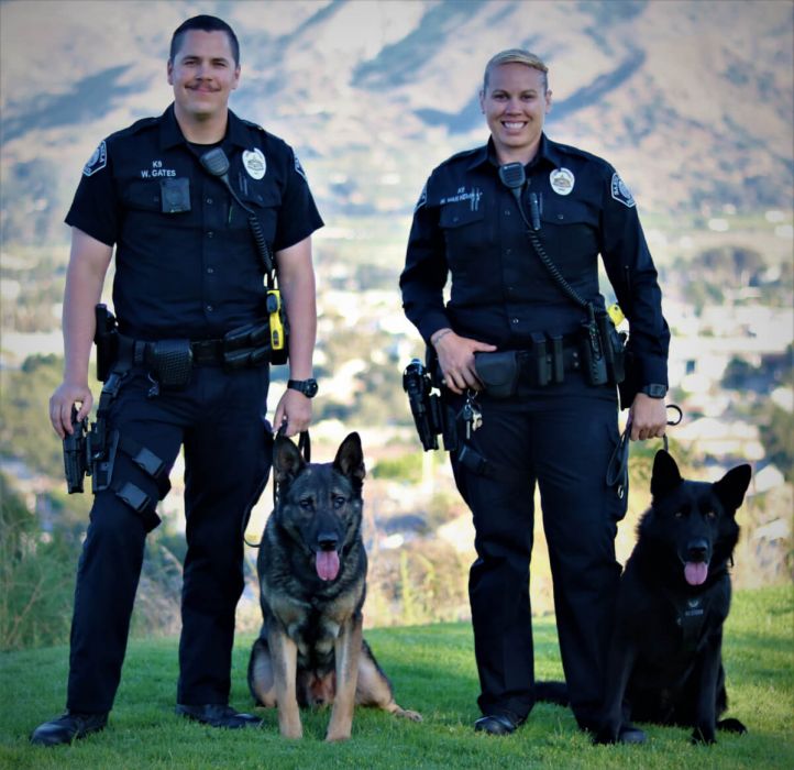K9 Unit